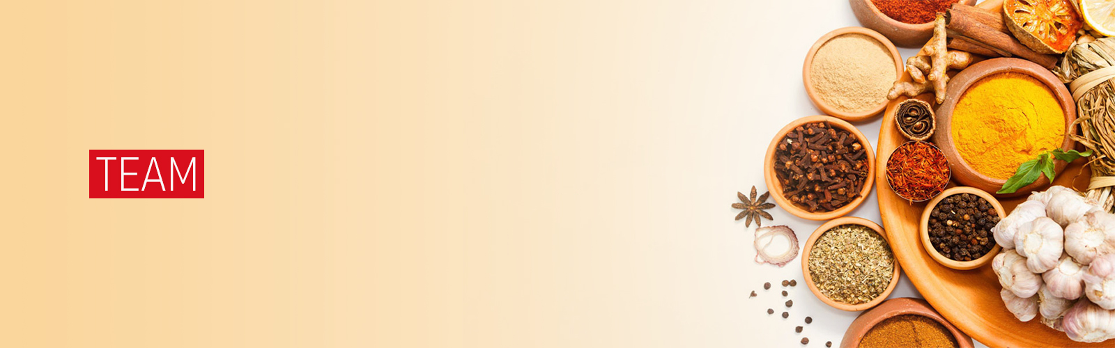 About Team | Vegan Meat Manufacturer in india | Vegan Chicken Flavour ...