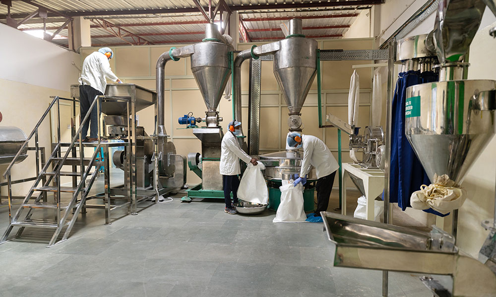 About Company | Leading Manufacturers and Suppliers of Seasonings ...